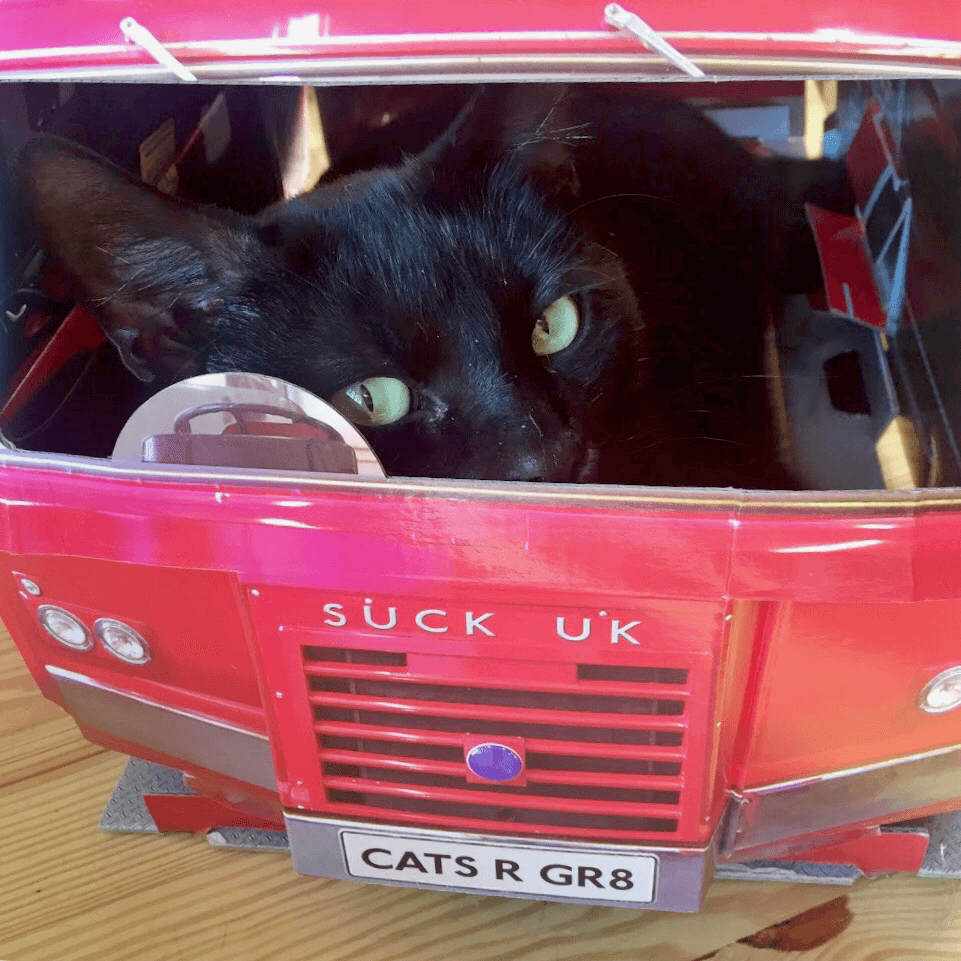 Be Prepared In Case Of A Fire – Meow Mini Mart