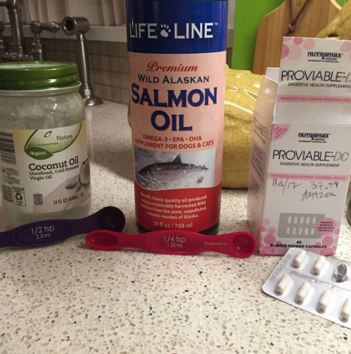 3 Simple Supplements Can Make the Difference in Your Cat’s Life – Meow ...